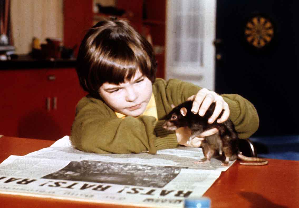 BEN (1972) - Films Fantastiques