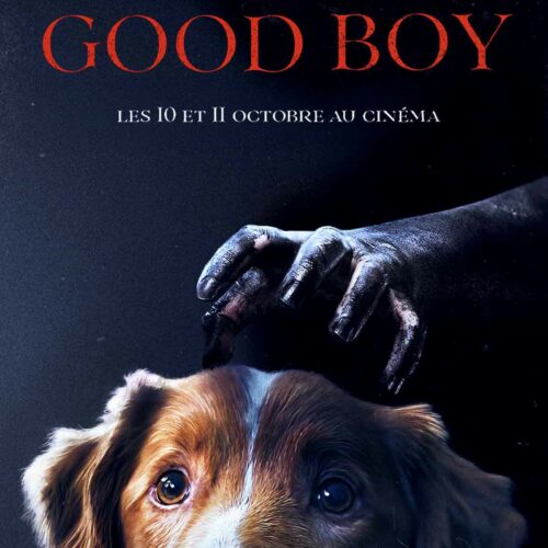 Saga CANDYMAN - Films Fantastiques