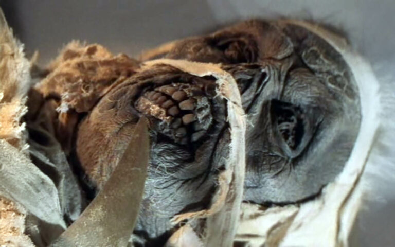 ANCIENT EVIL (2000) - Films Fantastiques